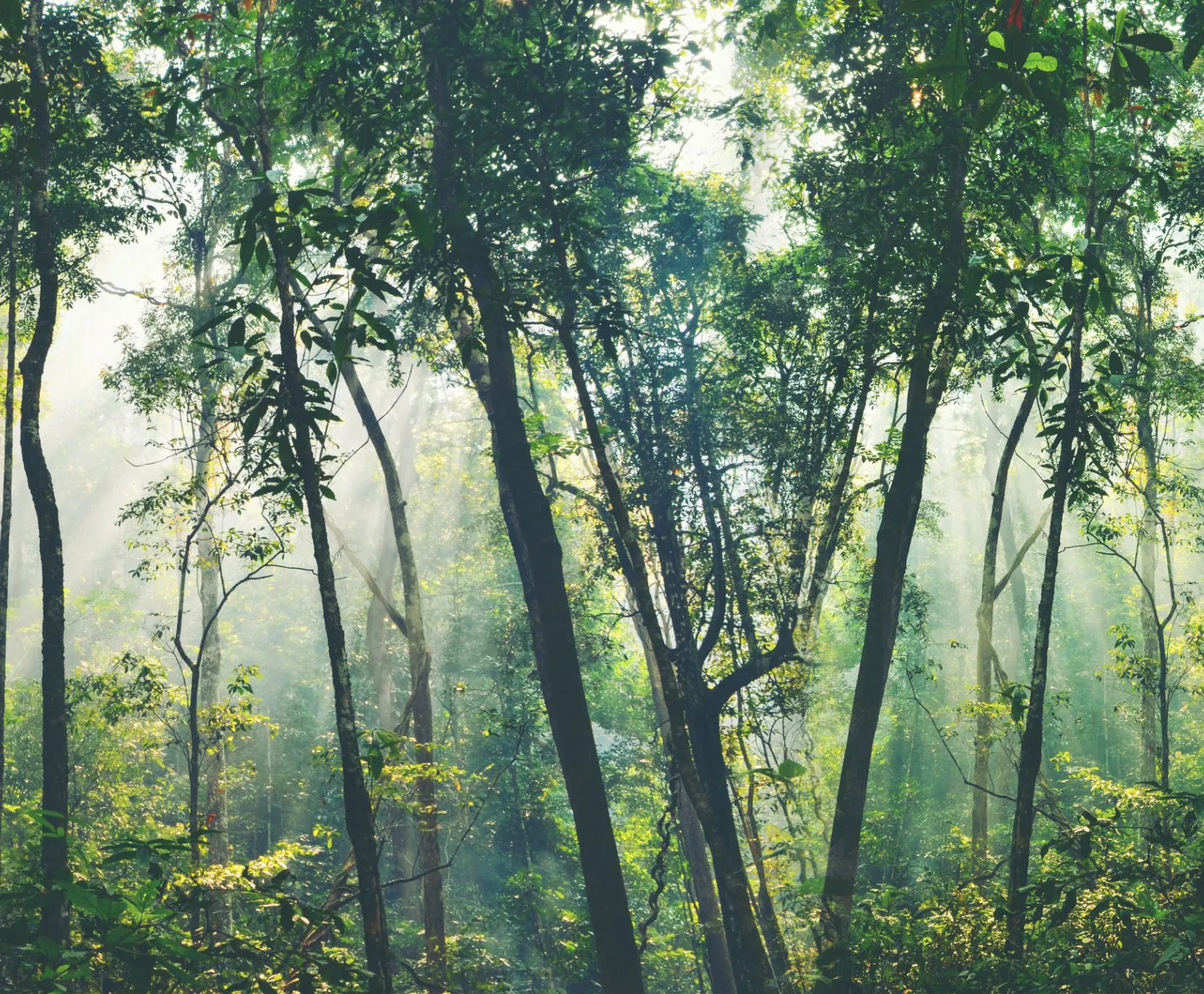 Sustainability | ESG within Harmac | Harmac Medical